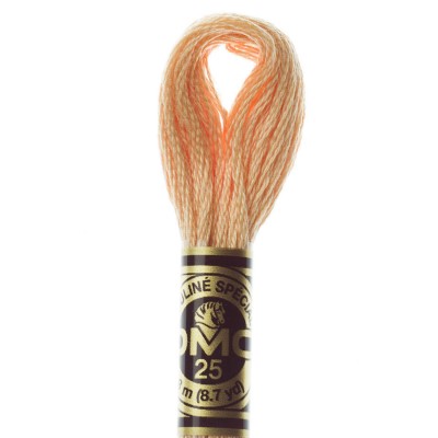 #3856 V-Light Mahogany - DMC 6-Strand Cotton Floss: Stitch-It Central