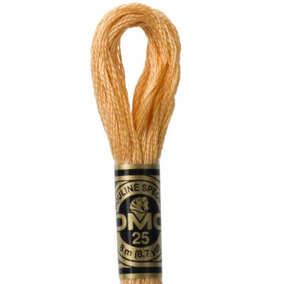 #3827 Pale Golden Brown - DMC 6-Strand Cotton Floss: Stitch-It Central