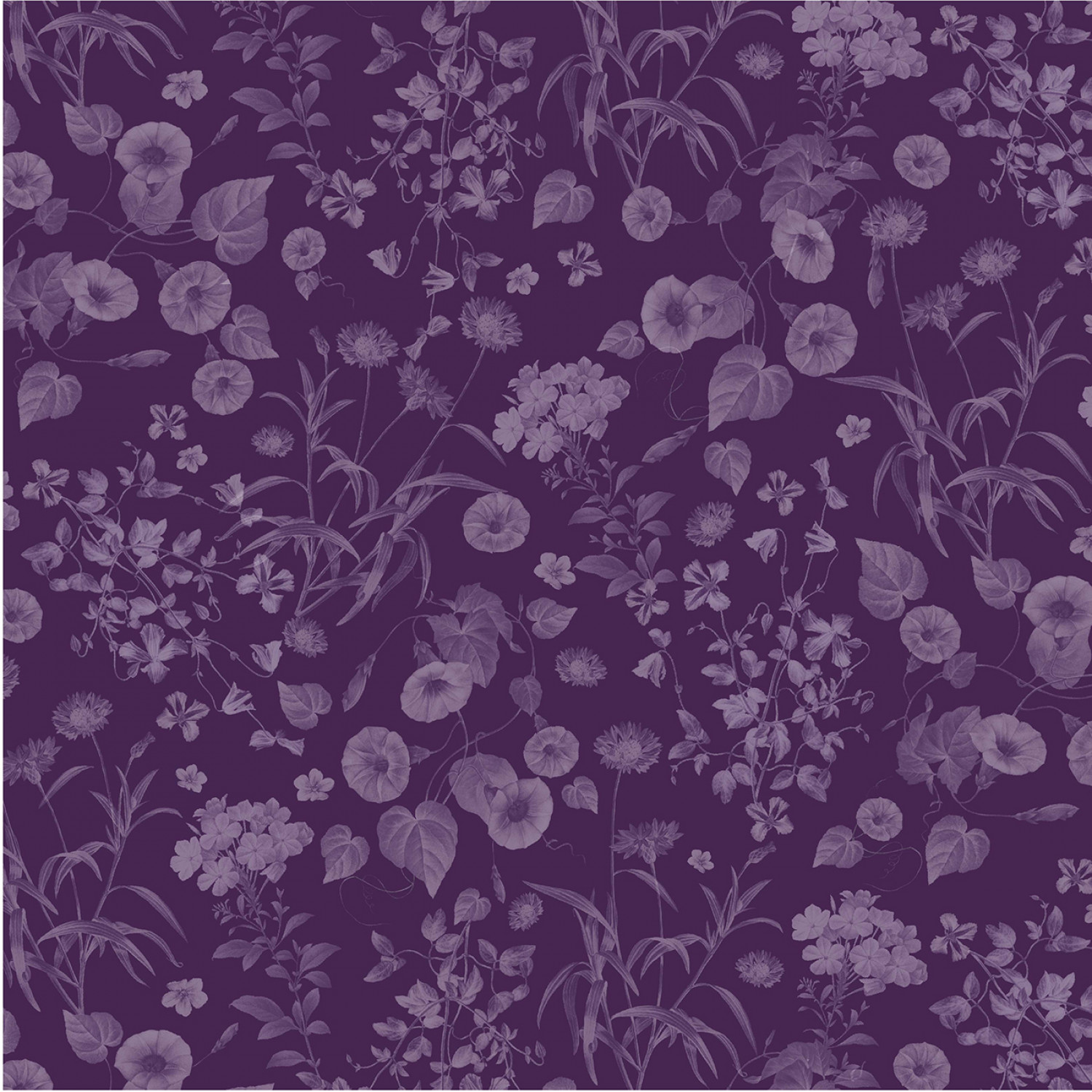 Botanical Garden - Jam Shadow Floral # DC11469-JAM - Quilting Fabric ...