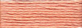 Apricot Light - Sullivan's Floss #45421 (Similar to DMC 3824): Stitch ...
